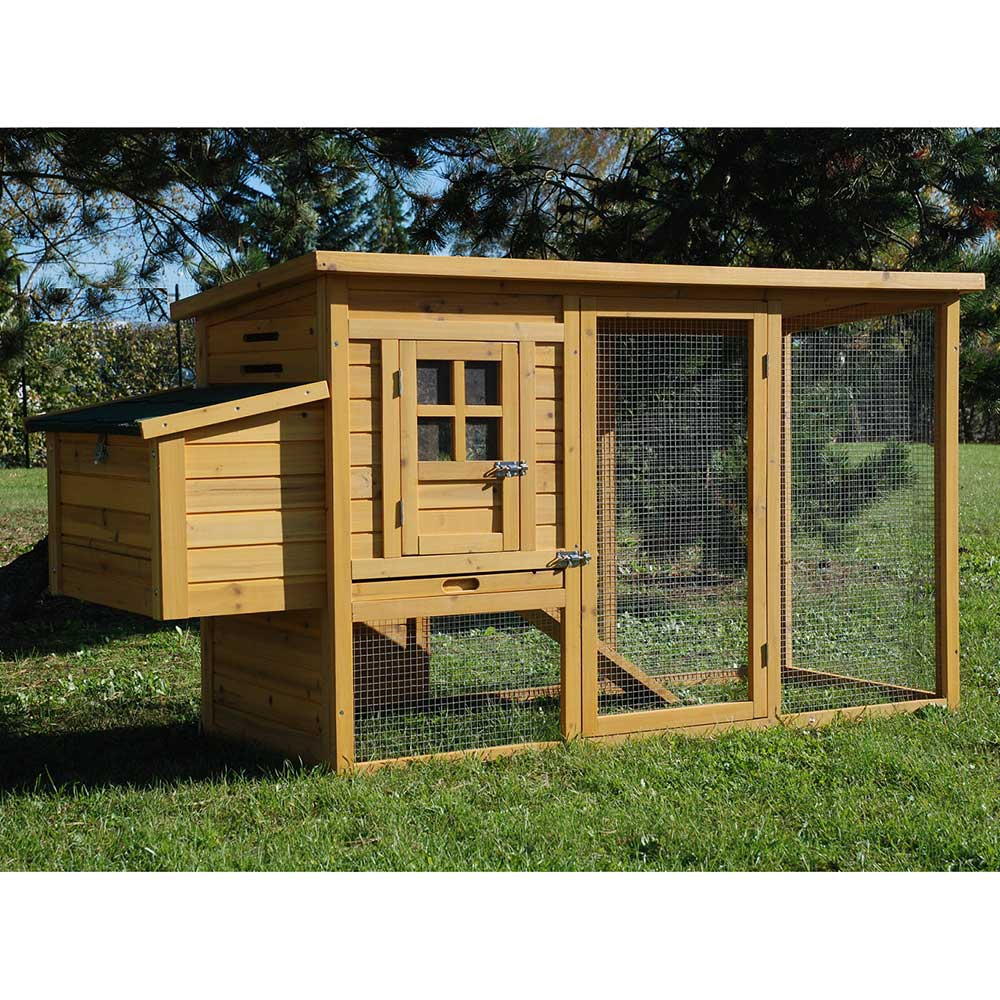 Mini poulailler pièges Renard - poulailler a lamotte brebiere