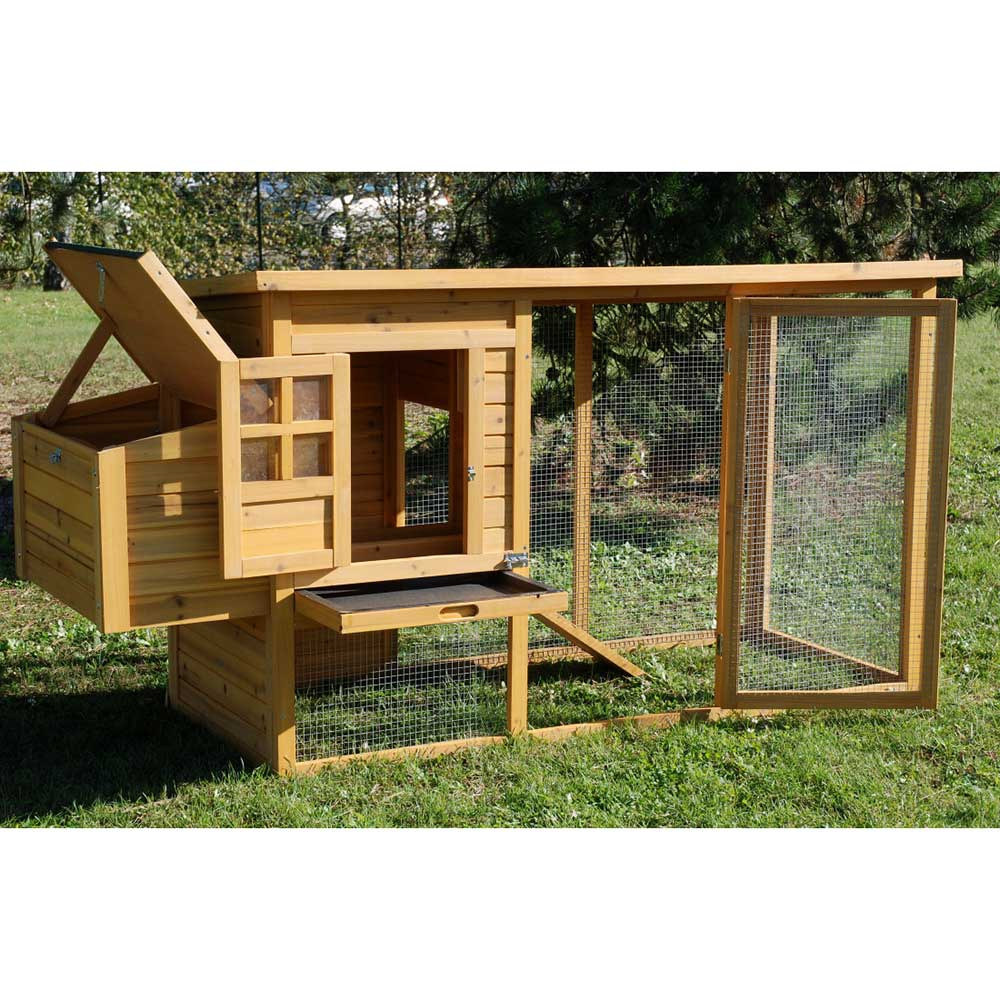 Mini poulailler pièges Renard - poulailler a lamotte brebiere