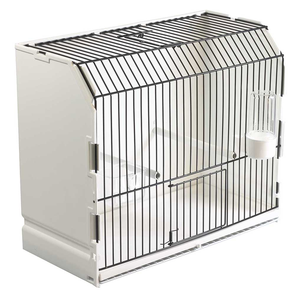 Cage d'exposition canaris et oiseaux exotiques pour concours et salons