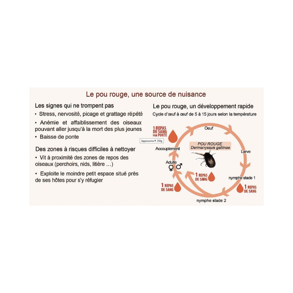 Androlis : Lutte biologique contre le pou rouge