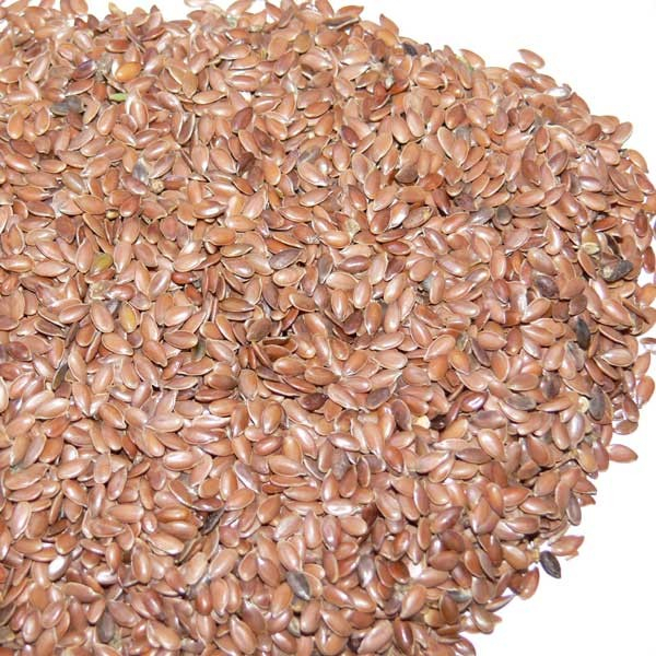 Graines de Lin : QualityBird, boutique en ligne pour oiseaux