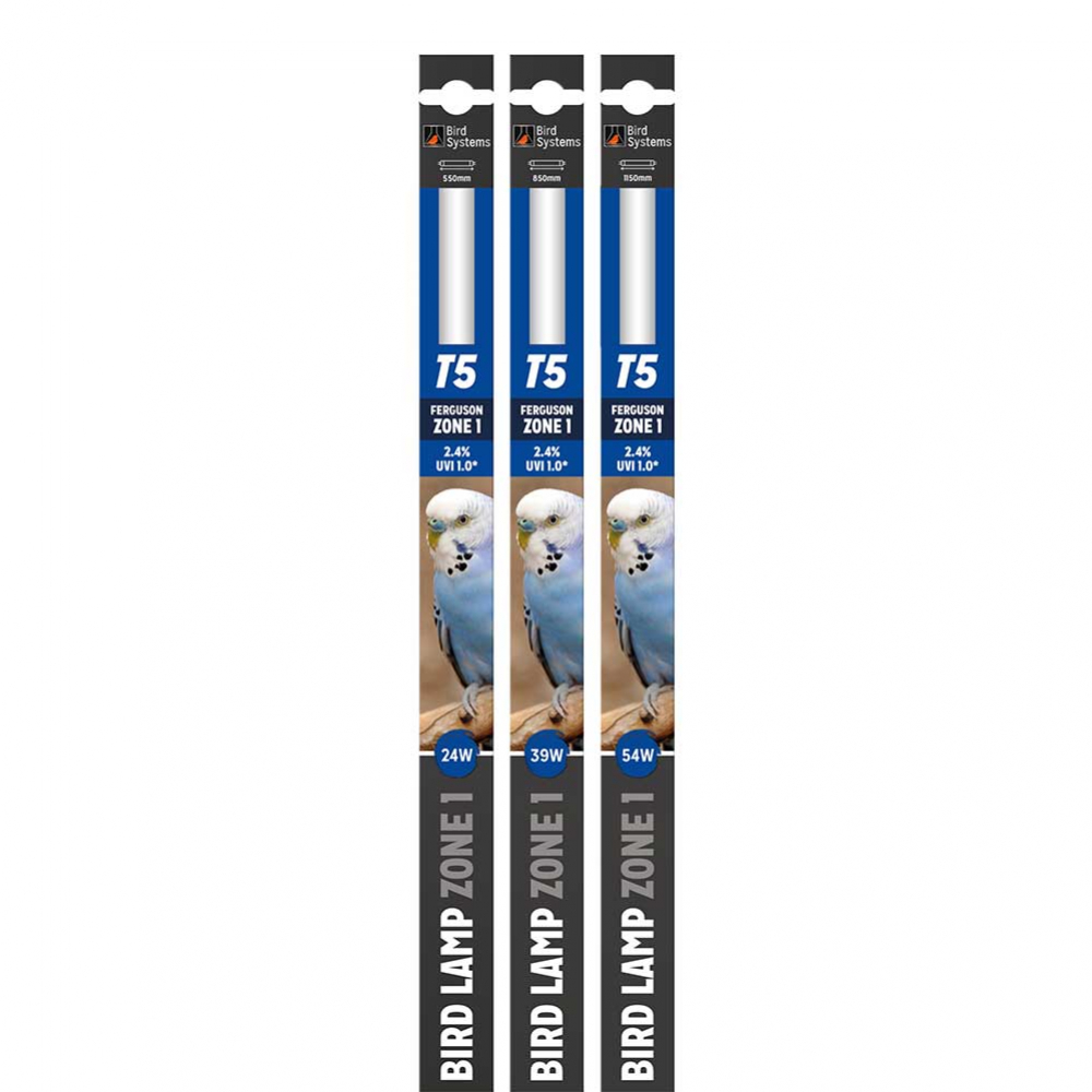 Ferguson Zone UVB et d'UVA pour nos oiseaux